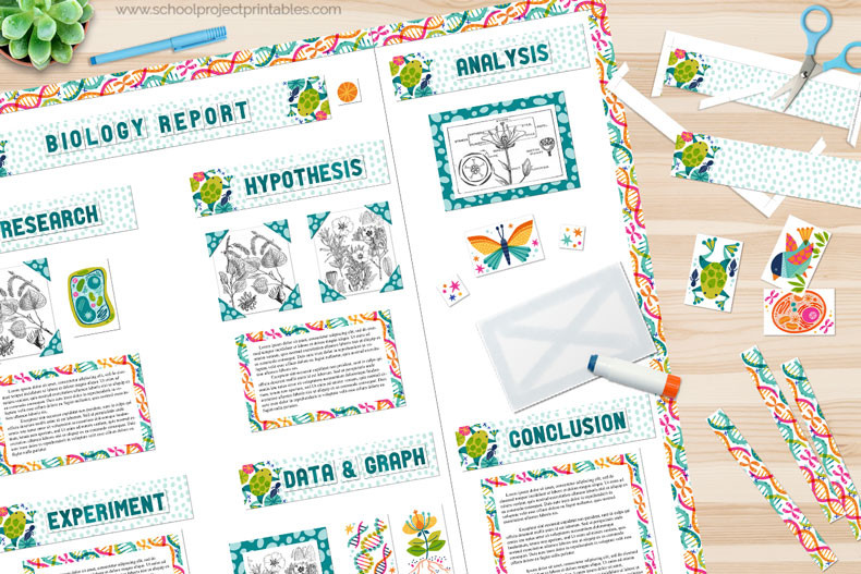 How to Make a Science Fair Display Board - For Biology Projects ...