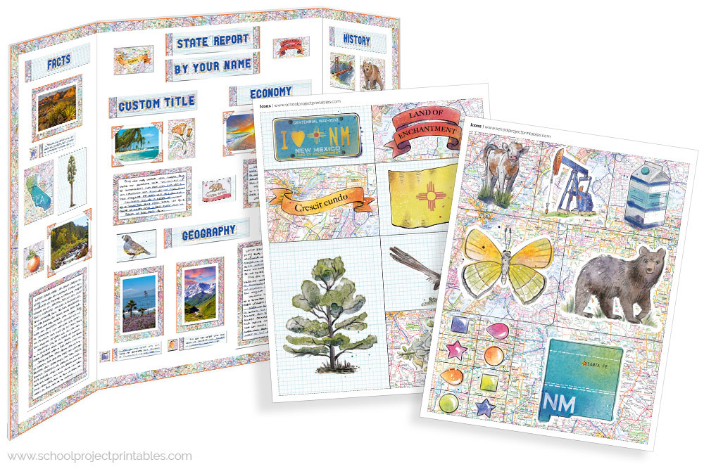 New Mexico State Report Display Board Poster Project Kit - School ...