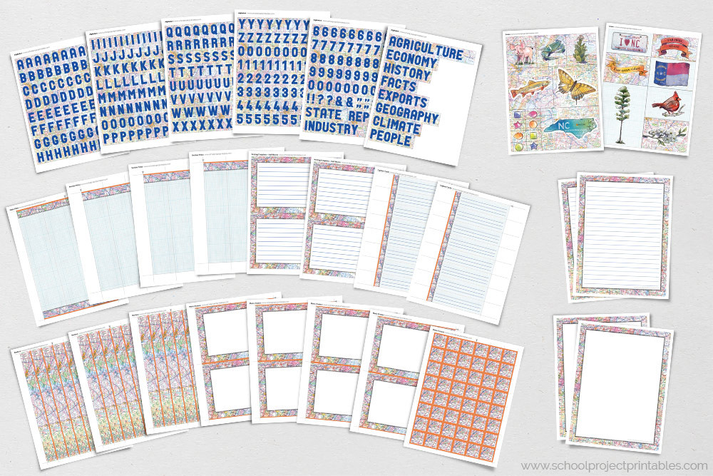 North Carolina State Report Display Board Poster Project Kit - School ...