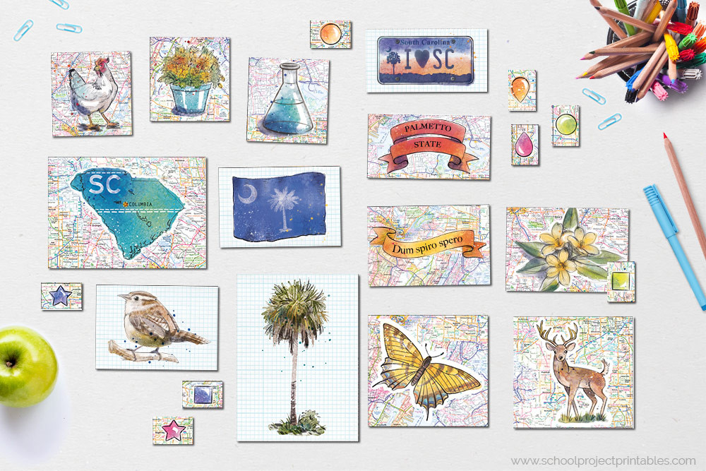 South Carolina State Symbols North Carolina State Symbols Mindfulness