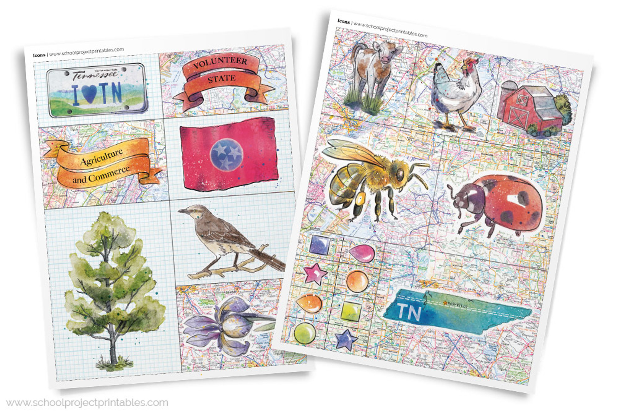 tennessee state bird printable