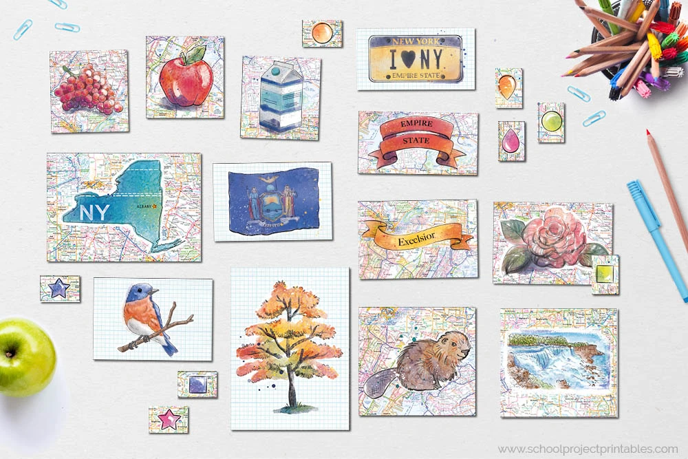 New York State Report Display Board Poster Project Kit - School Project ...