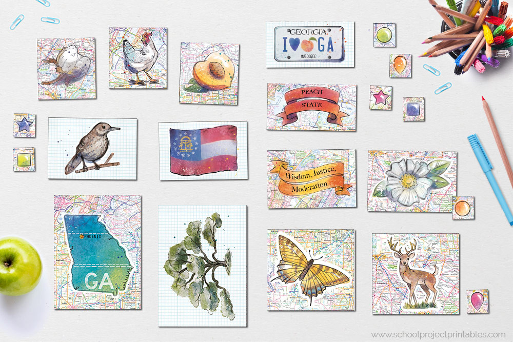 Georgia State Report Display Board Poster Project Kit - School Project ...