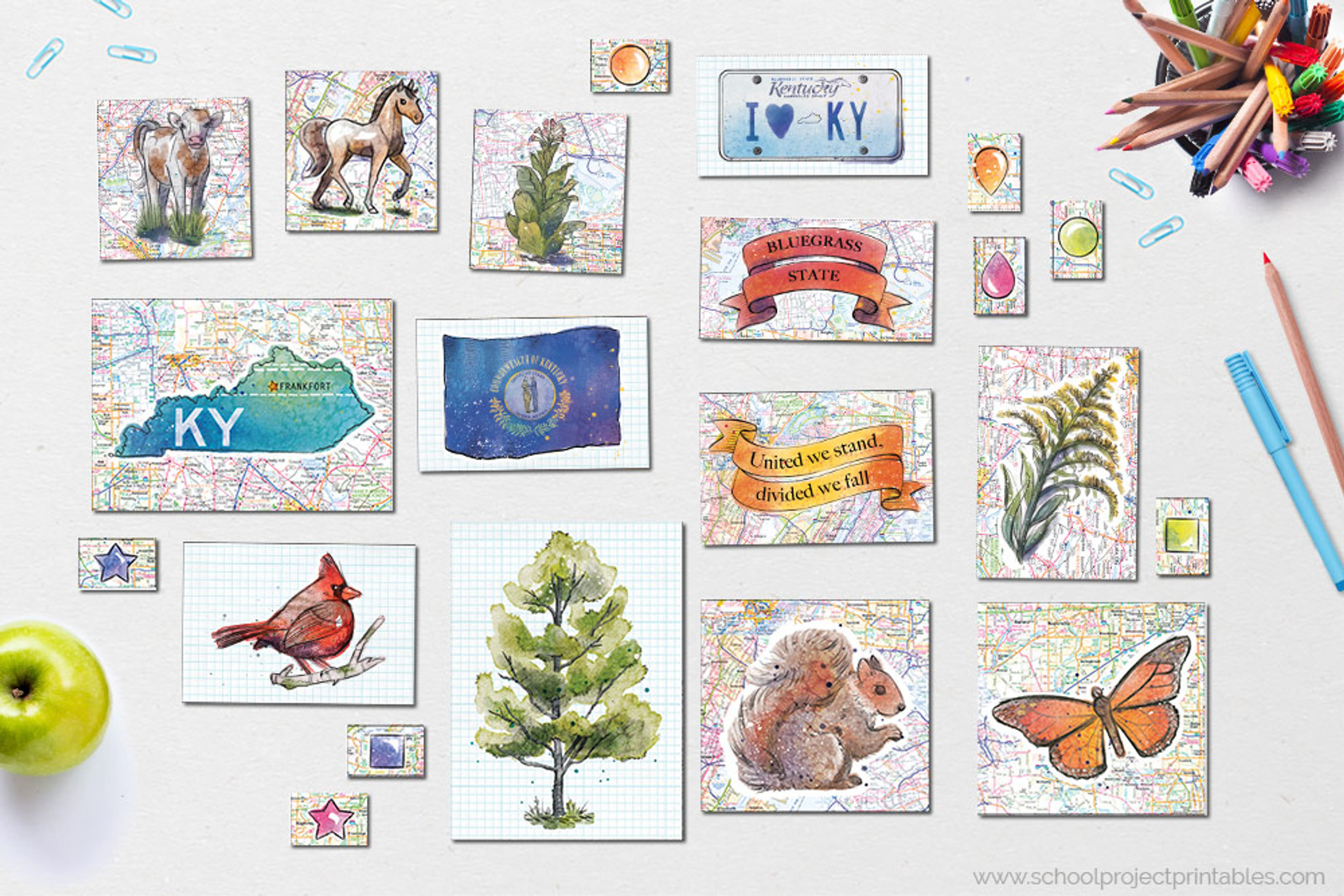 Kentucky State Report Display Board Poster Project Kit - School Project ...