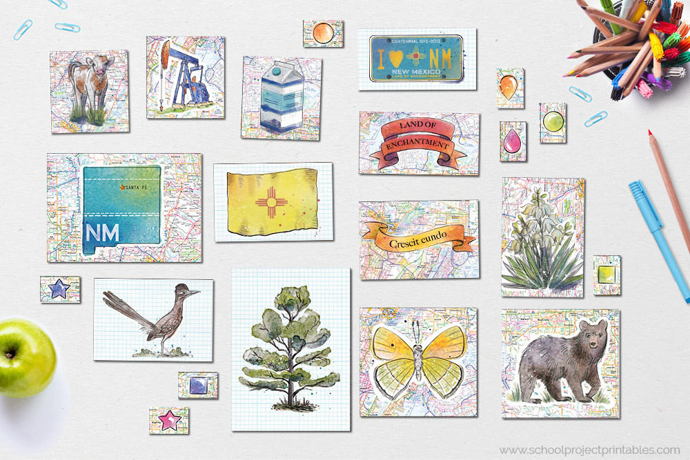 New Mexico State Report Display Board Poster Project Kit - School ...