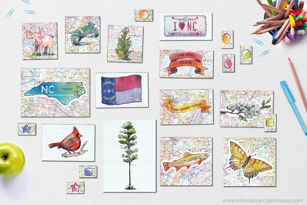 North Carolina State Report Display Board Poster Project Kit - School ...