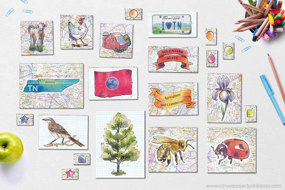 Tennessee State Report Display Board Poster Project Kit - School ...