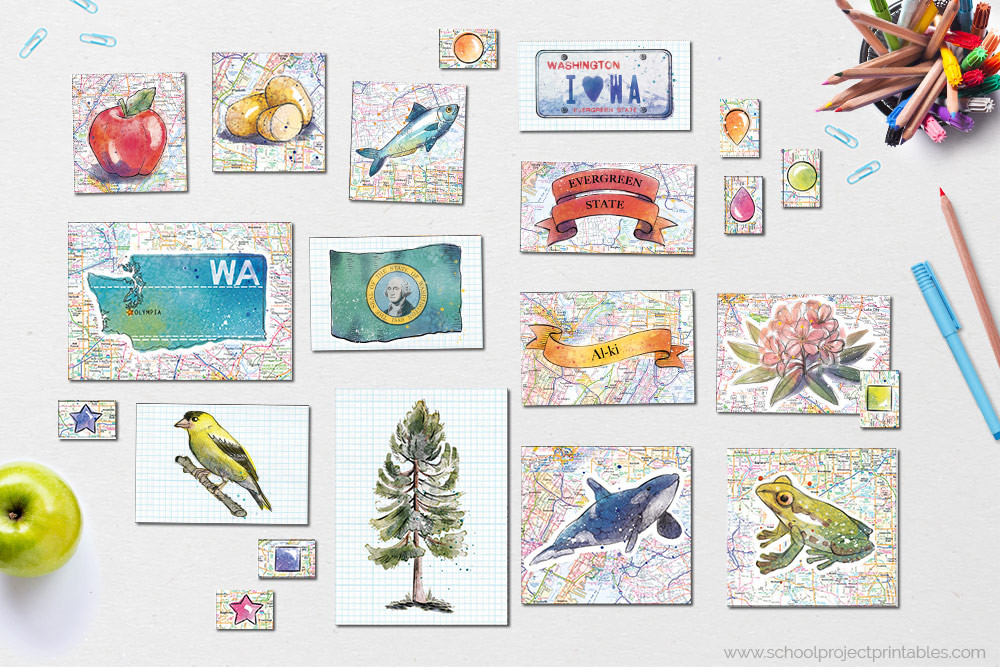 Washington State Report Display Board Poster Project Kit - School ...