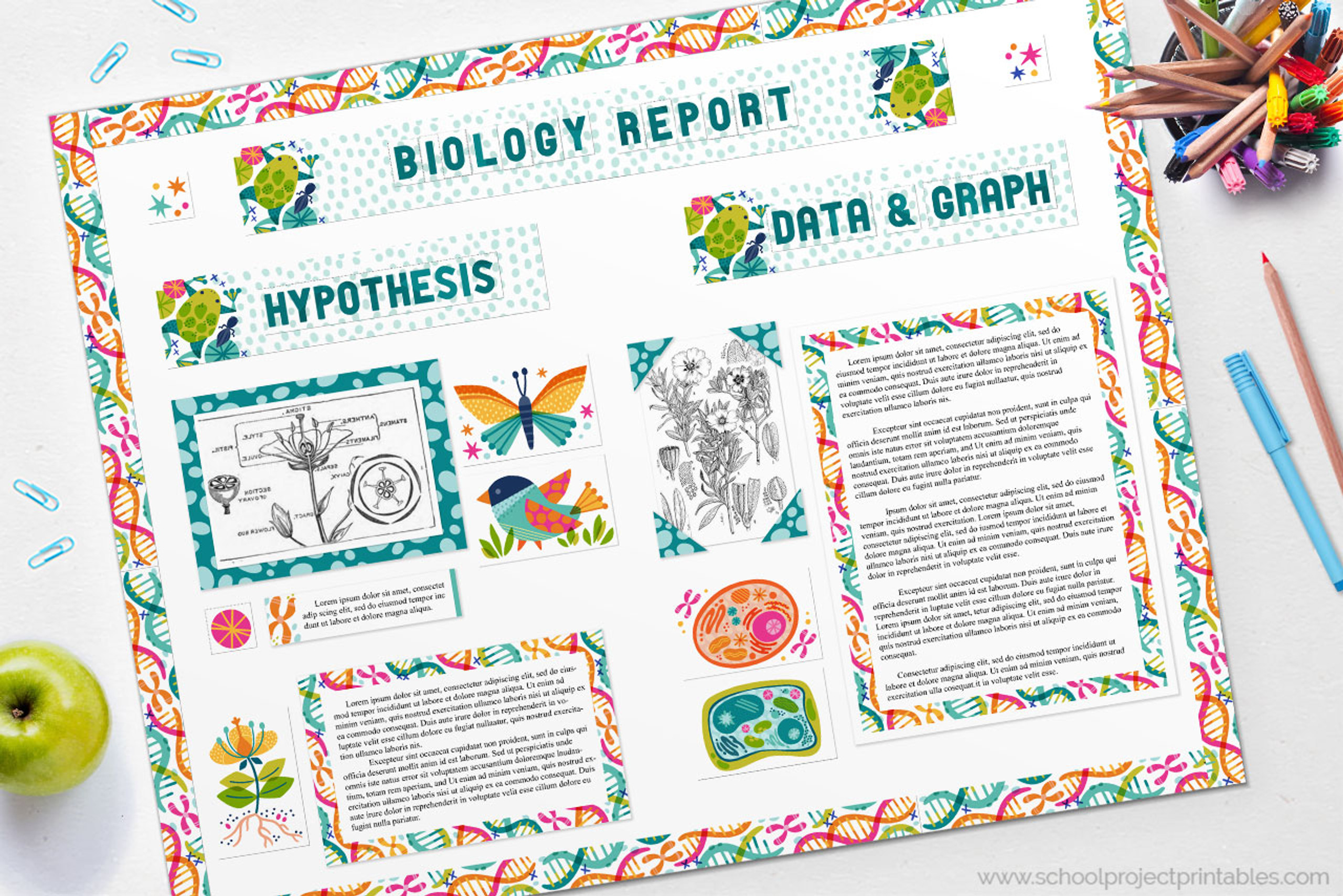 Biology Science Fair - Display Board Poster Project Kit - School ...