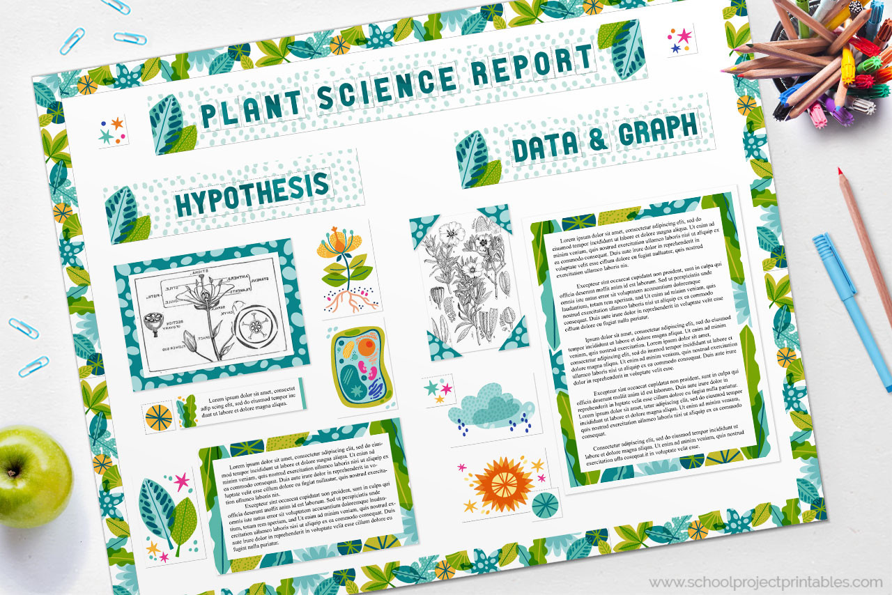 Plant Science Fair - Display Board Poster Project Kit - School Project ...