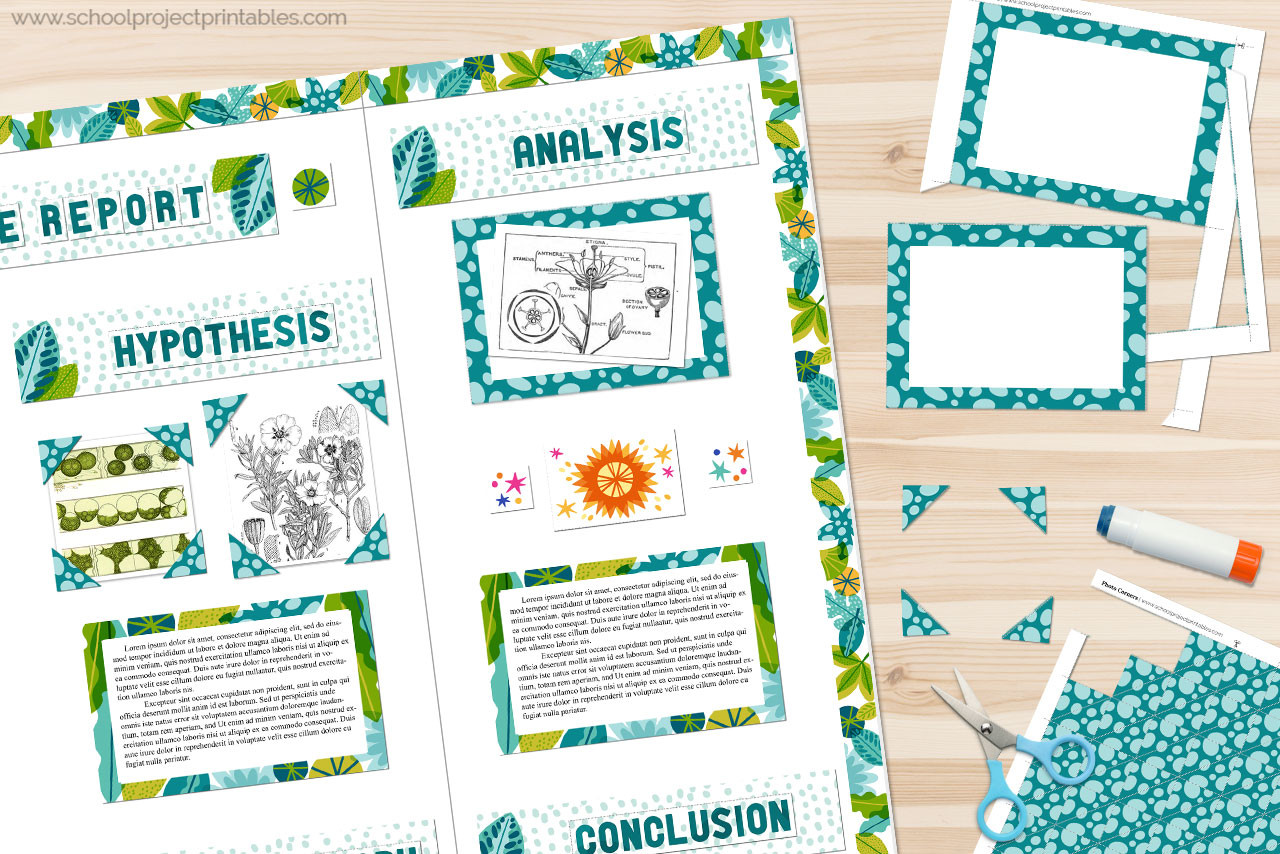 Plant Science Fair - Display Board Poster Project Kit - School Project ...