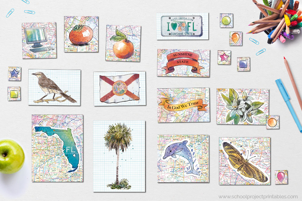 Florida State Report Display Board Poster Project Kit - School Project ...