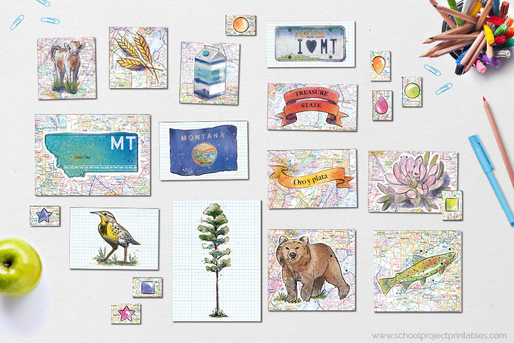 Montana State Report Display Board Poster Project Kit - School Project ...