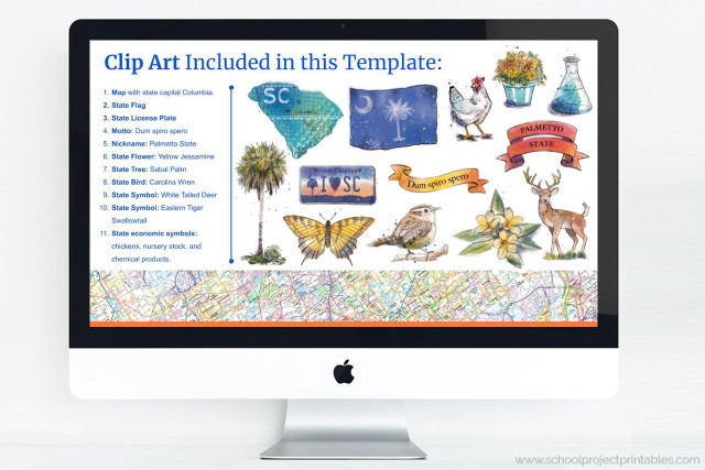 South Carolina State PowerPoint Template Theme - School Project Printables
