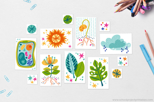 Plant Science Fair - Display Board Poster Project Kit - School Project ...