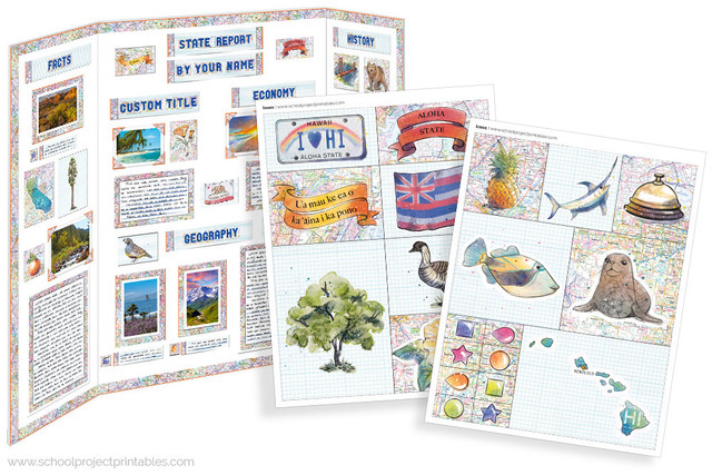 Hawaii State Report Display Board Poster Project Kit - School Project ...