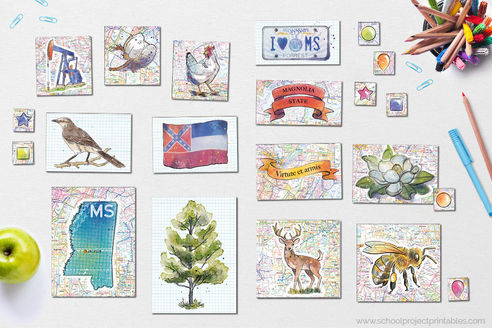 Mississippi State Report Clip Art Icon Symbols Set - School Project ...