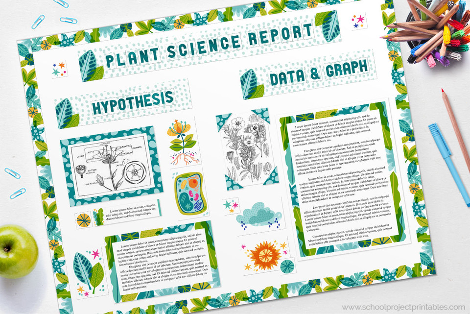 Plant Science Fair - Display Board Poster Project Kit - School Project ...