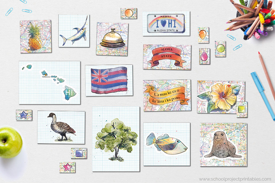 Hawaii State Report Display Board Poster Project Kit - School Project ...