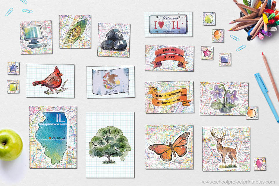 Illinois State Report Display Board Poster Project Kit - School Project ...