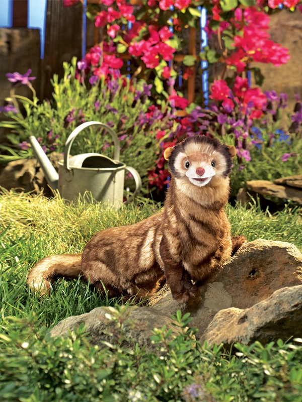 Folkmanis Puppet Ferret