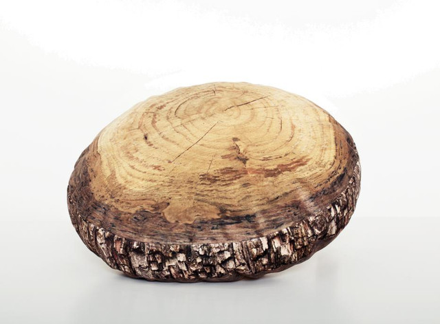Woodsmen Naturescape Annual Rings Log Slice Cushion 23½"- Foam Seating