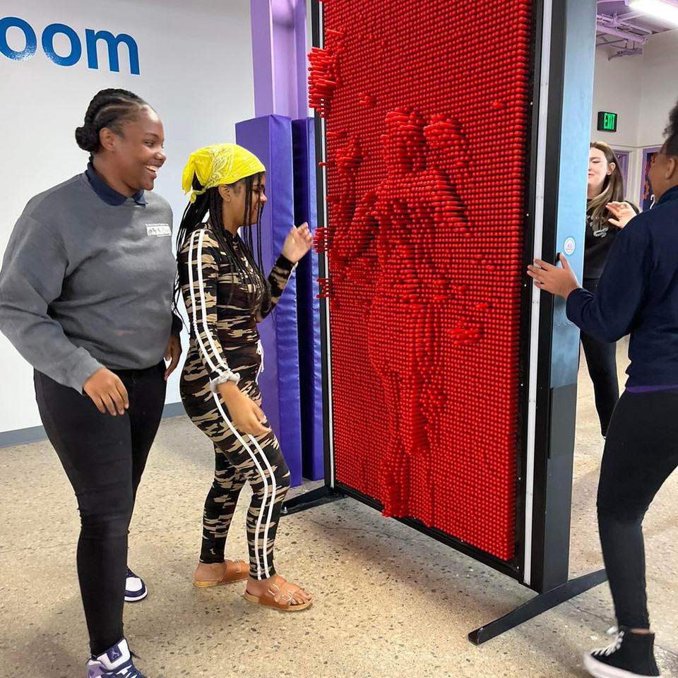 Clone Box Giant Pin-Wall STEM Activity - 3D Sensory Impression Wall