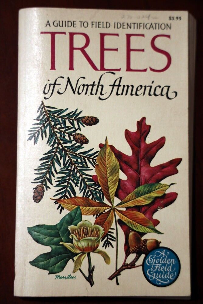 TREES OF NORTH AMERICA Guide to Field Identification Golden Field Guide ...