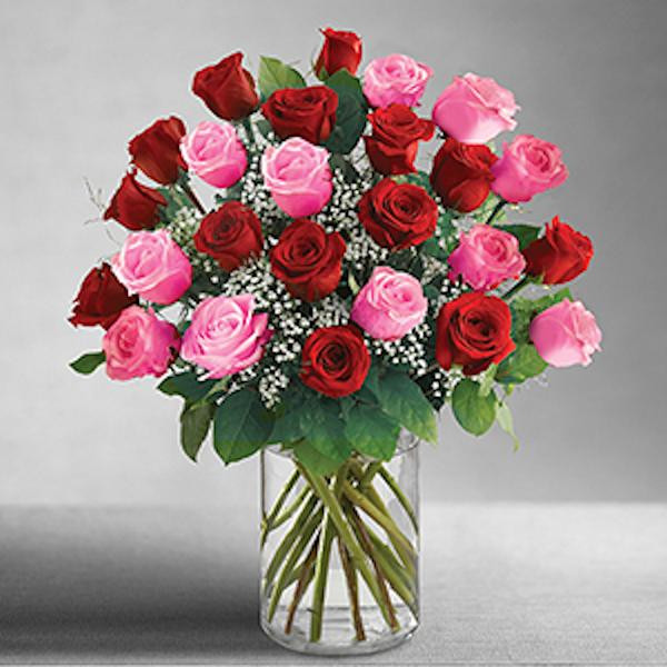 A Dozen Red Rose Bouquet - Expressions In Bloom Fine Flowers