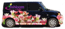 Why inbloom.com? - Expressions In Bloom Fine Flowers
