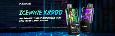 Wholesale Vape Shop, Smoke Shop, & Headshop Supply