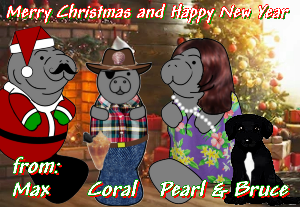 CHRISTMAS 2020 WITH MANATEE MAX - Manatee Max
