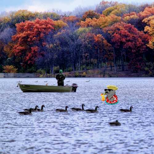 Who's Ready For Fall? - Manatee Max