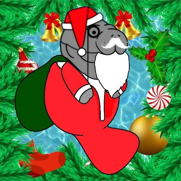Are you looking for the Christmas gift everyone will like? - Manatee Max