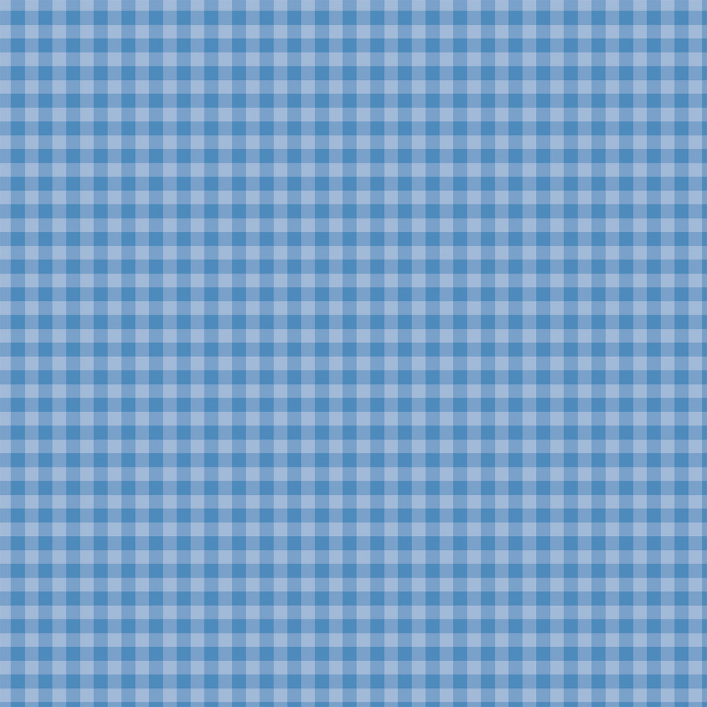 Bold Gingham: Sea Gingham 12x12 Patterned Paper - Echo Park Paper Co