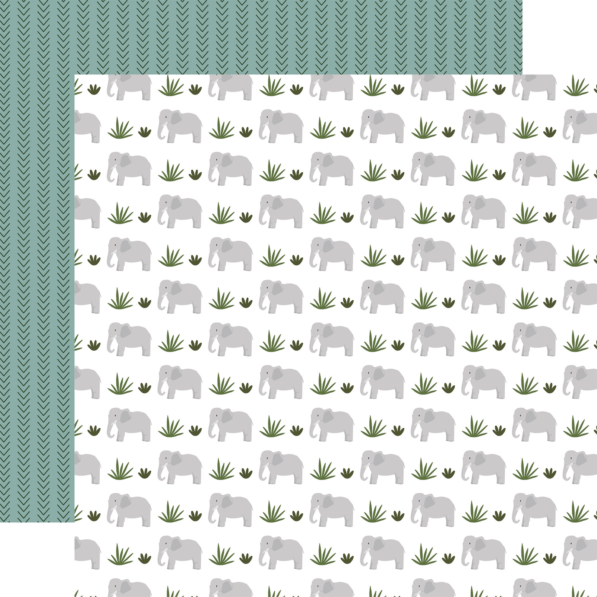 Little Explorer: Exploring Elephants 12x12 Patterned Paper - Echo Park ...