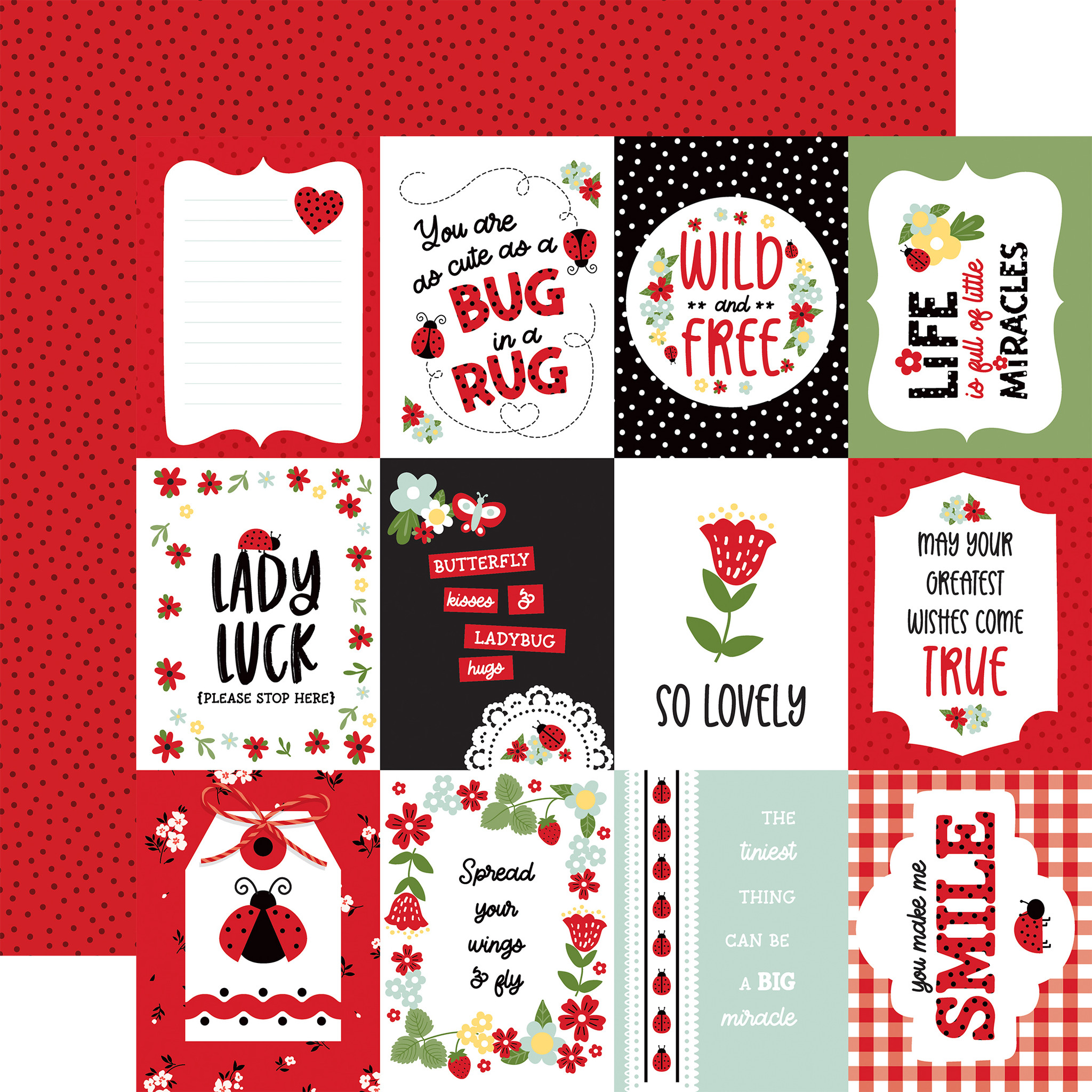 Little Ladybug: 3x4 Journaling Cards 12x12 Patterned Paper - Echo Park ...