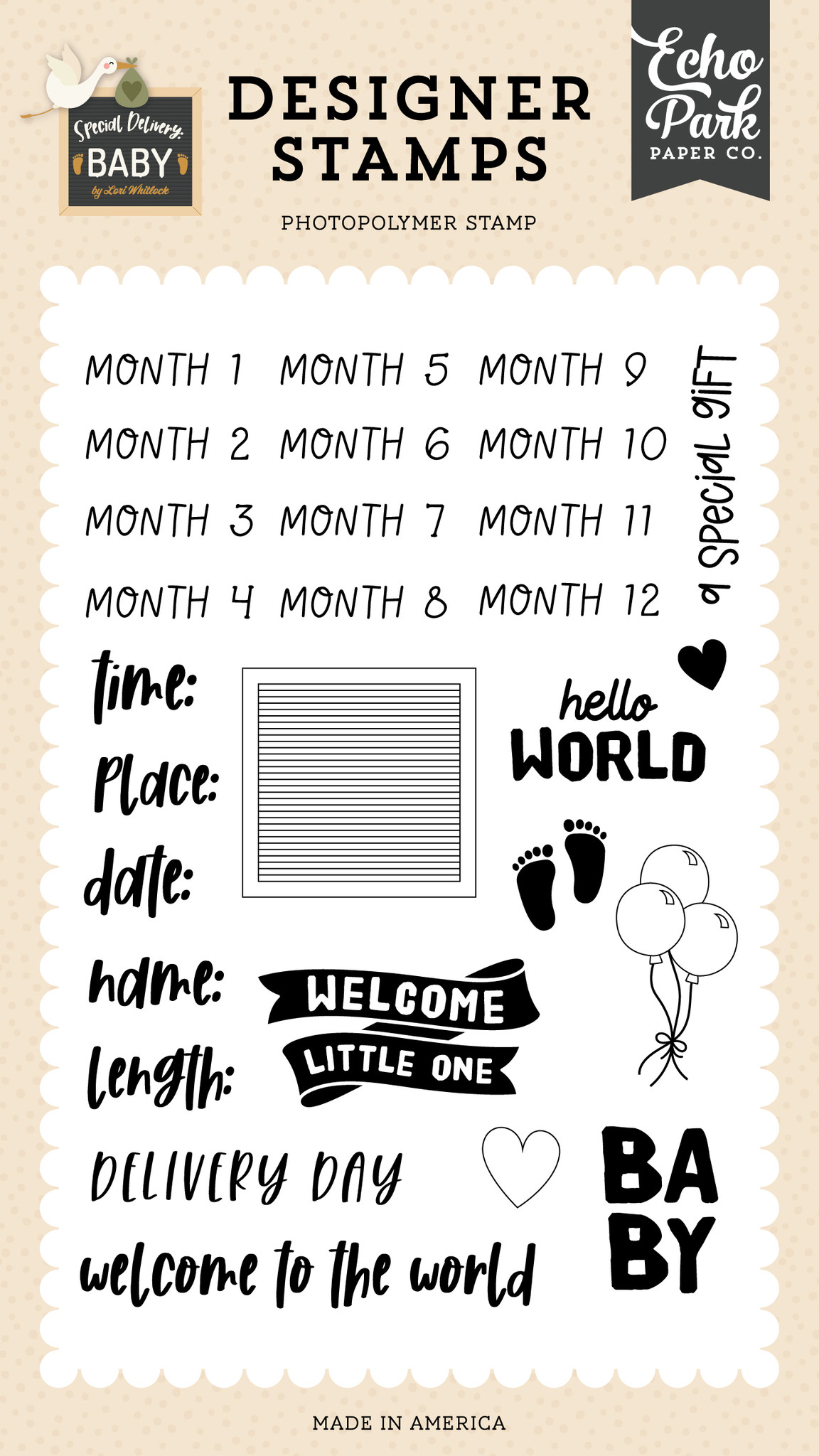 Special Delivery Baby: Baby Stats Stamp Set - Echo Park Paper Co