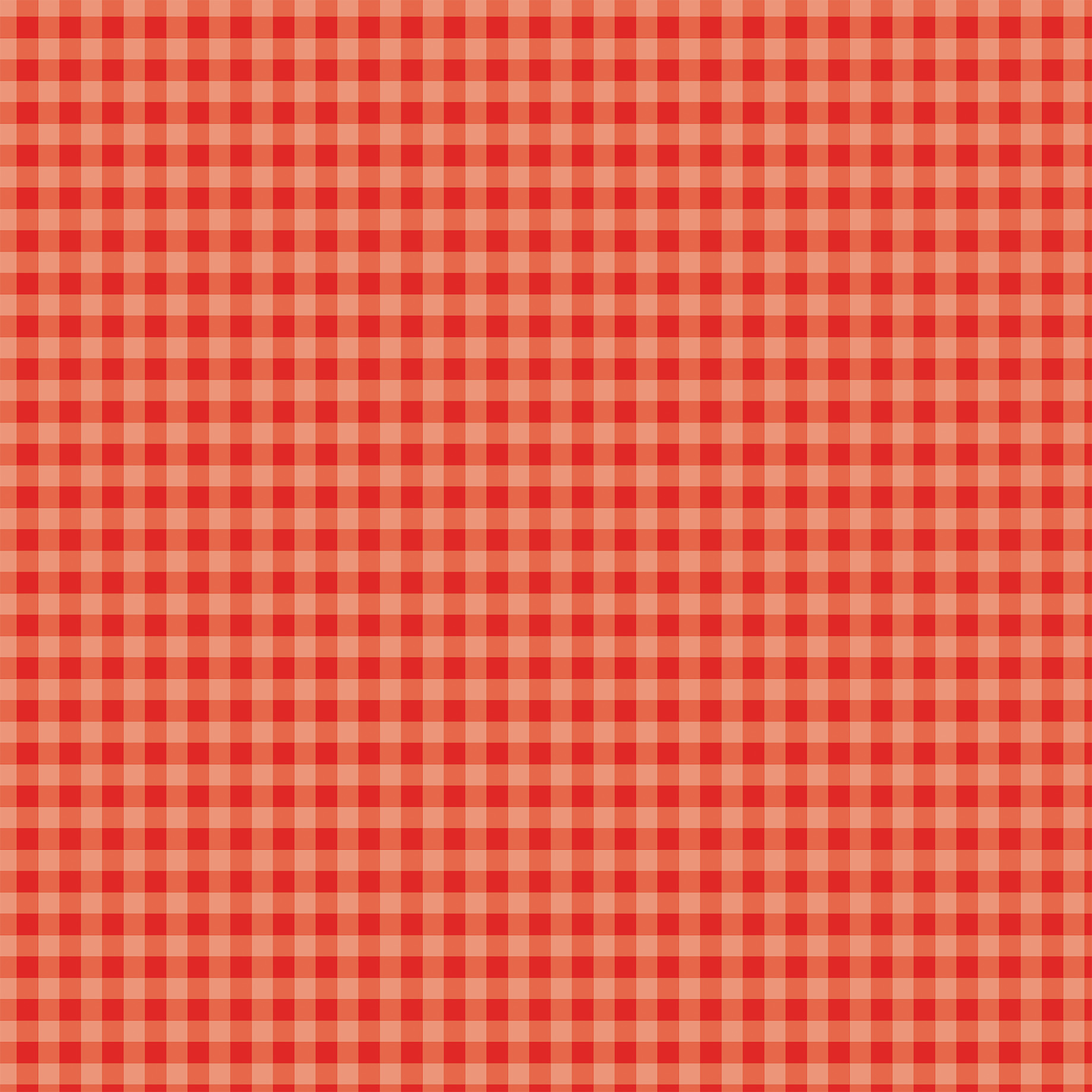 Bold Gingham: Cherry Red Gingham 12x12 Patterned Paper - Echo Park Paper Co