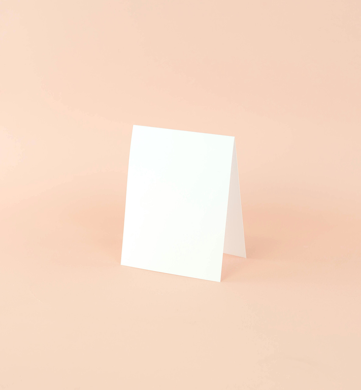 A2 Scored Vertical Card Base Set - Echo Park Paper Co