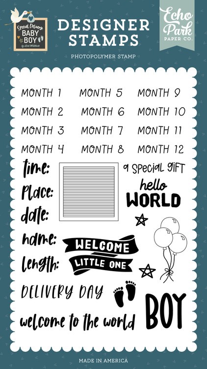 Special Delivery Baby Boy: Baby Boy Stats Stamp Set - Echo Park Paper Co