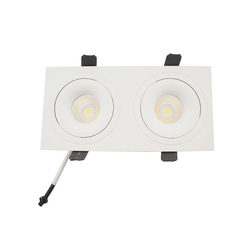 Twin Tiltable 10W Dimmable LED Downlight | Adjustable
