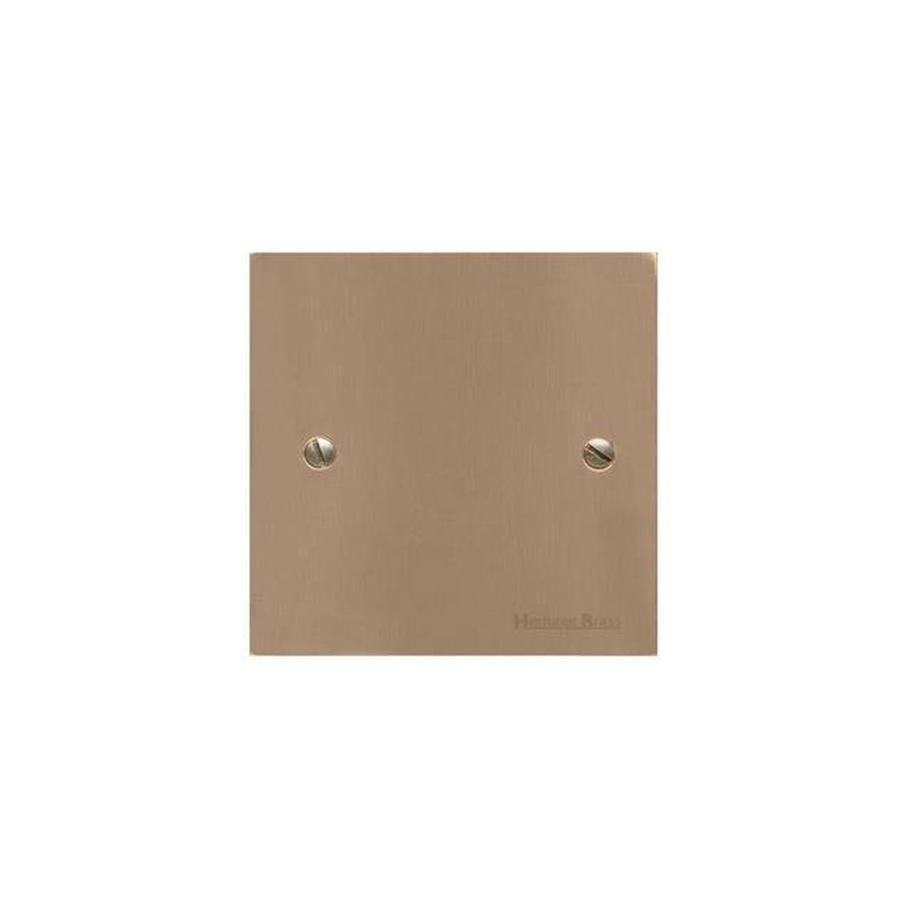 Single Blank Plate in Antique Brass Elite Flat Plate Range