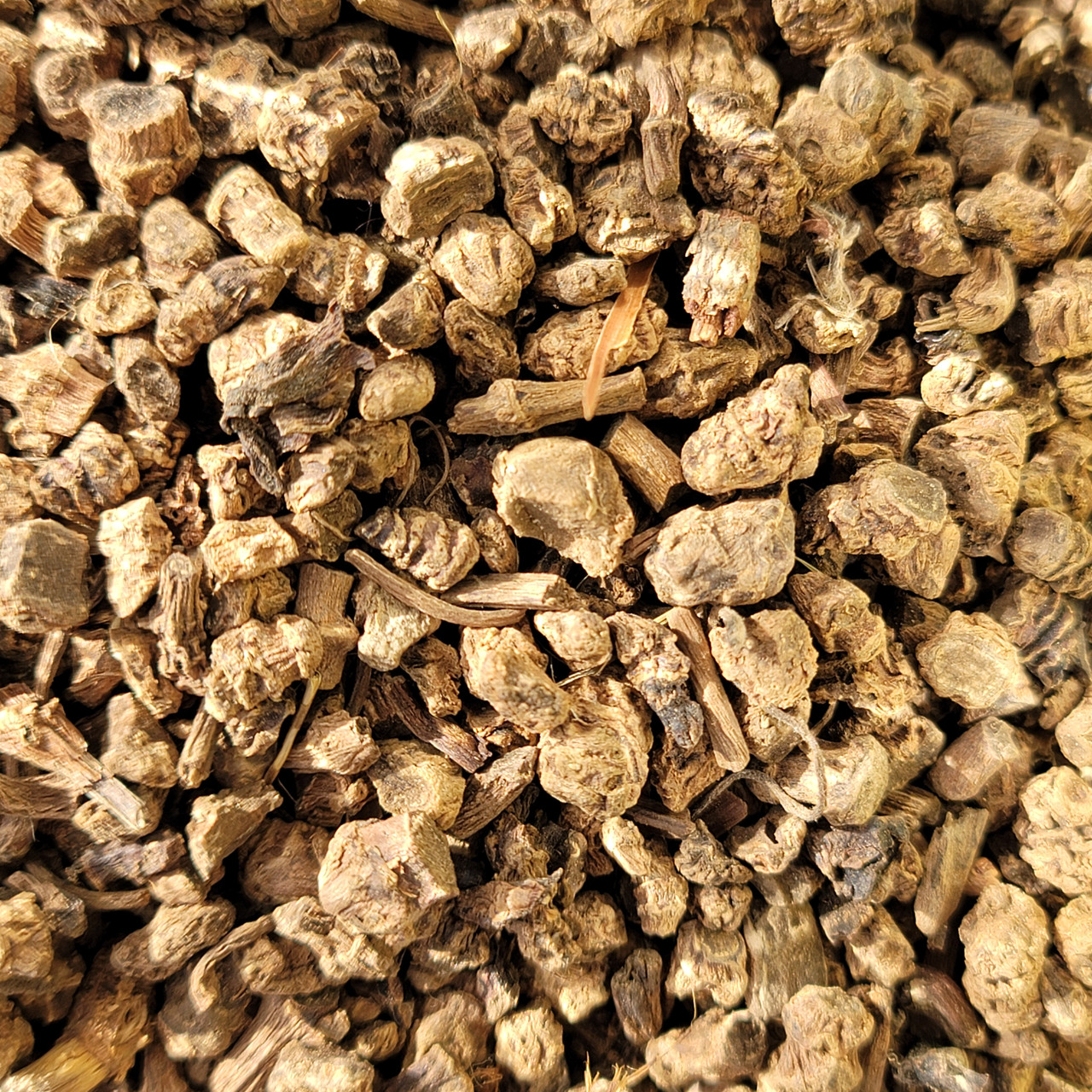 Valerian Root