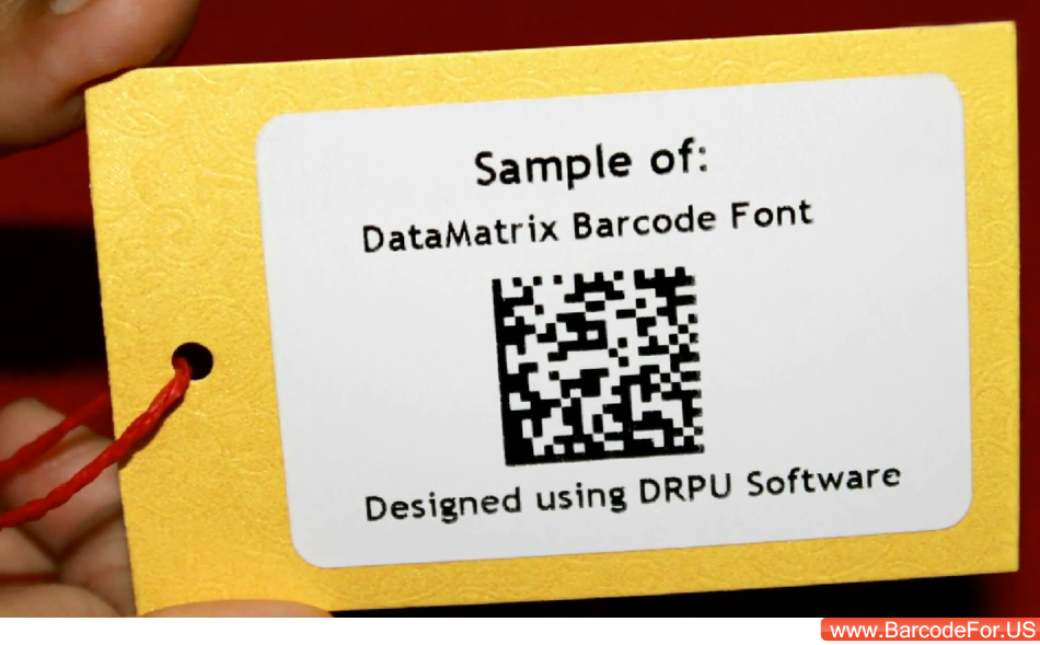 Printing Data Matrix Codes on the Epson LX-PX400