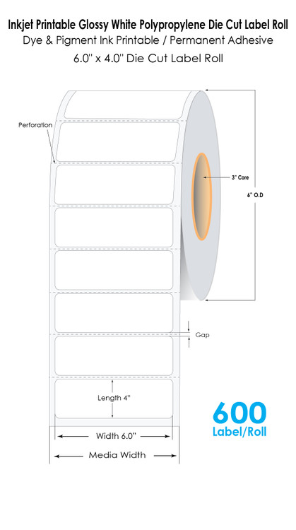 C6500 6" x 4" Glossy Polypropylene Label Roll 600/Roll 3"Core/6"OD
