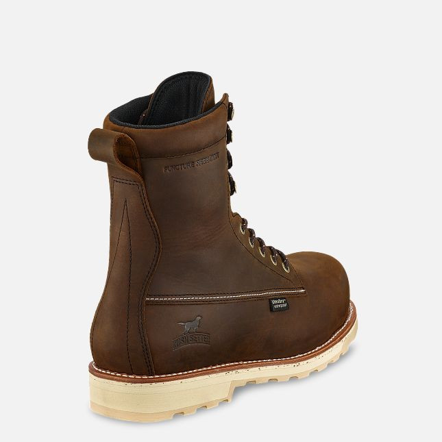 Men's Irish Setter 8" Wingshooter CSA Heeled Work Boot - Herbert's ...