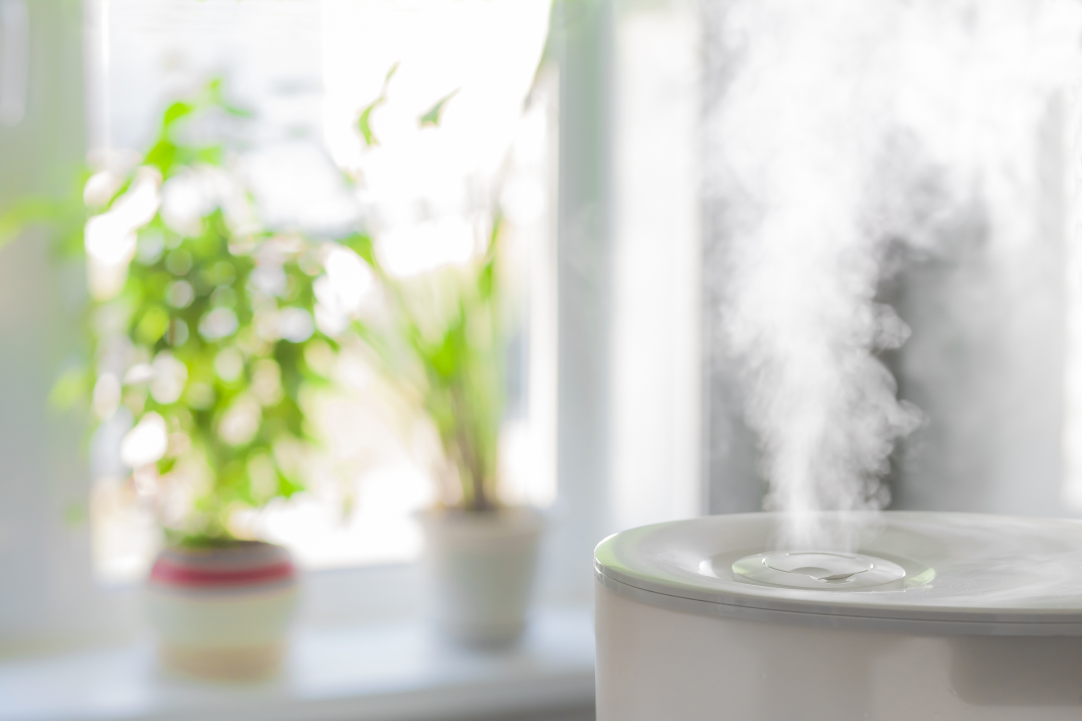Beauty Benefits of Using a Humidifier - Olivu 426