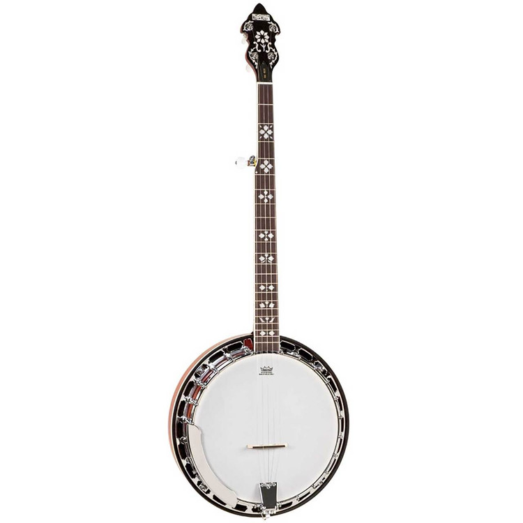 Recording King RK-R20 Songster 5-String Bluegrass Resonator Banjo w ...