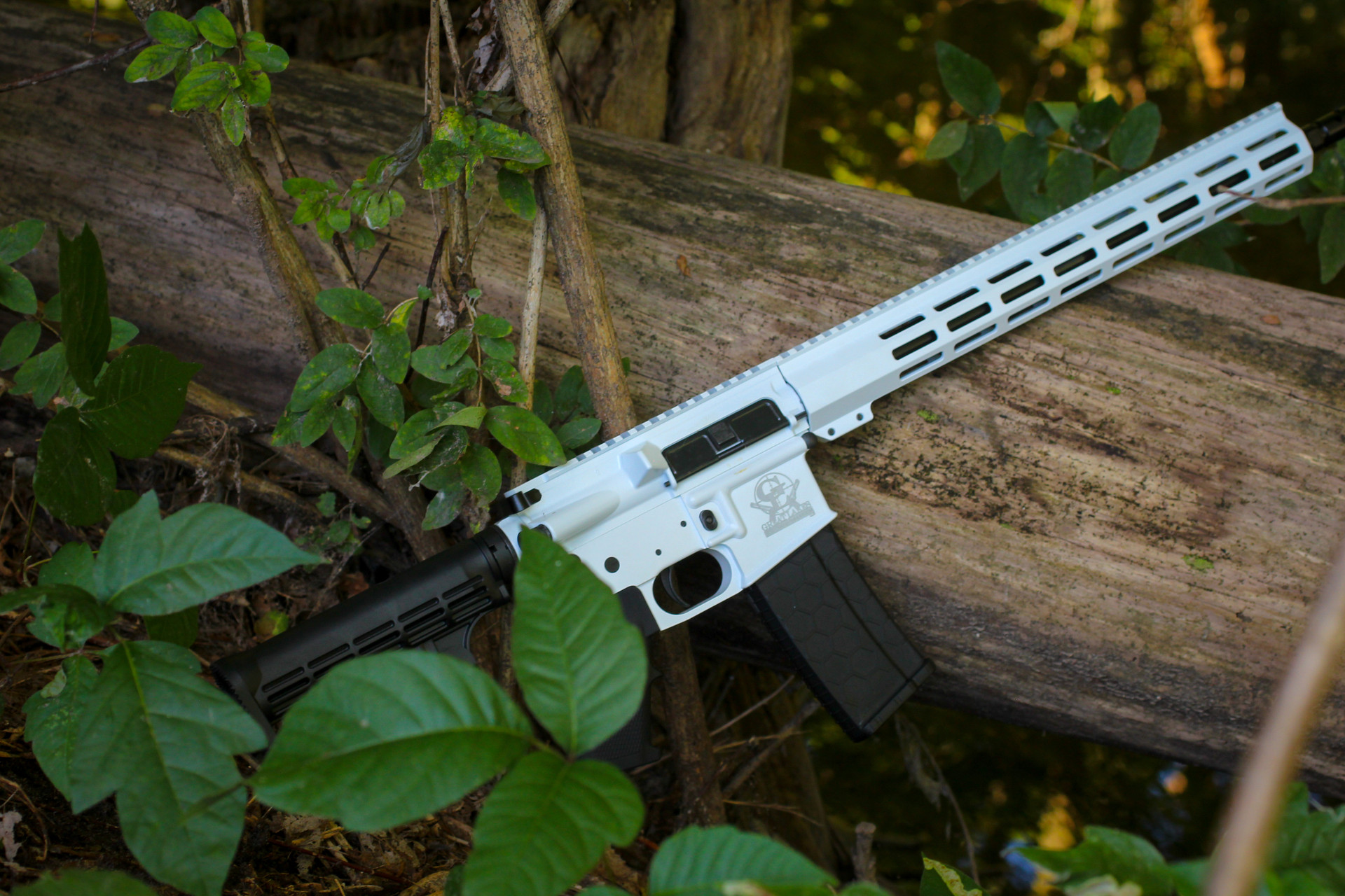 Firearms - AR-15 - .450 Bushmaster Rifle - Great Lakes Firearms and ...